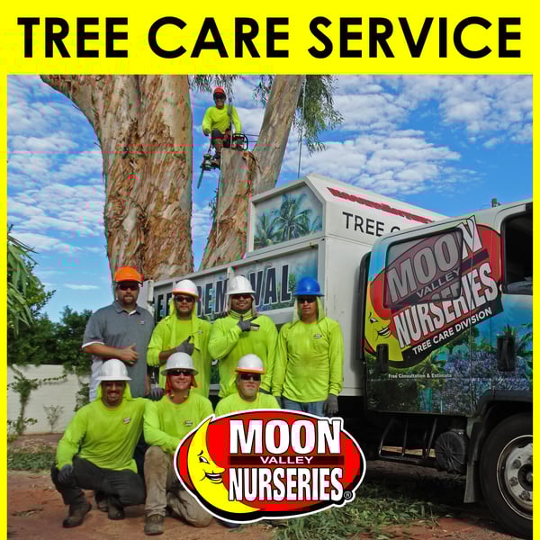 Moon Valley Nurseries Tree Services in Arizona
